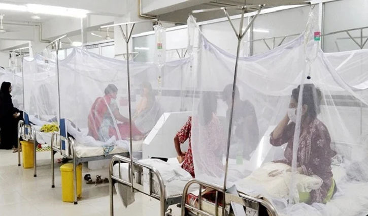 224 dengue patients hospitalised in 24hrs