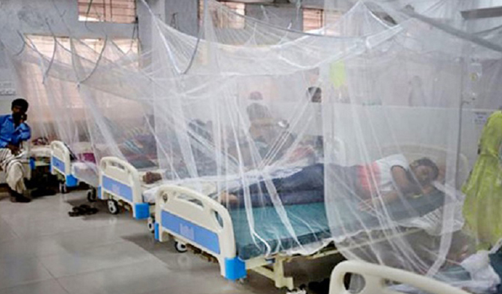 279 new Dengue patients hospitalised in 24 hours