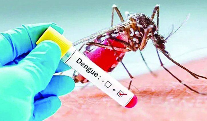 ‘DEN-4 variant behind dengue infection rate’