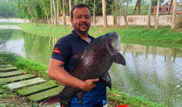 নির্বাচনে হেরে গেলেন যেসব তারকা